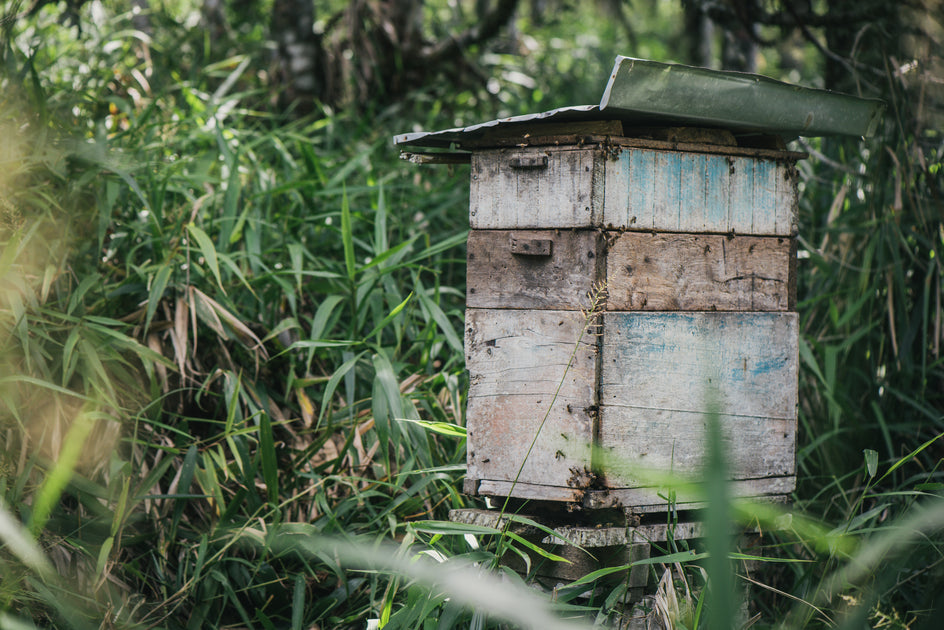 Ethically Produced Honey | Organic Beekeeping – More than Just a ...
